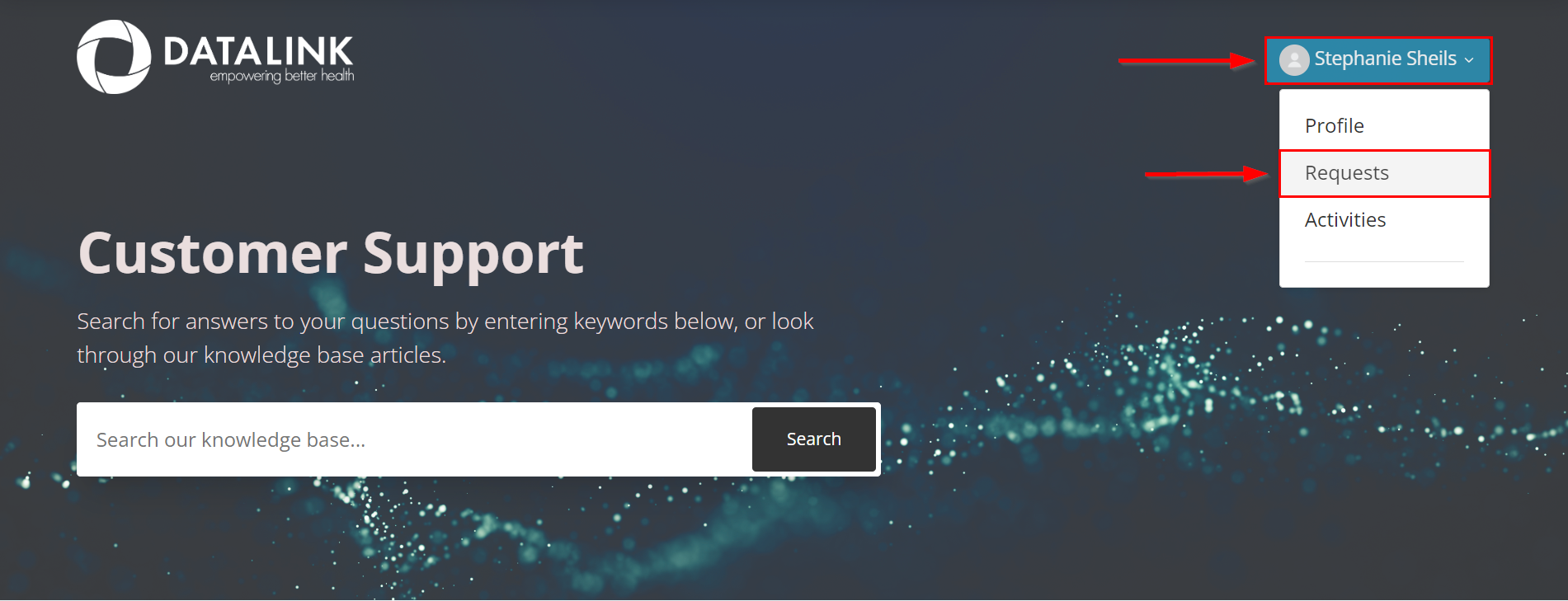 How do I review a support ticket I've submitted? – DataLink Software